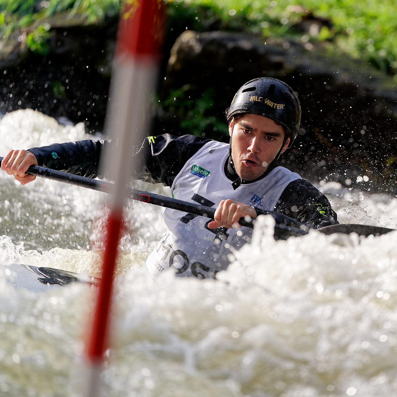 Alexandre Perlmutter